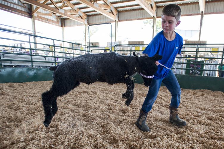 Coos County Fair | Photo Collections | theworldlink.com