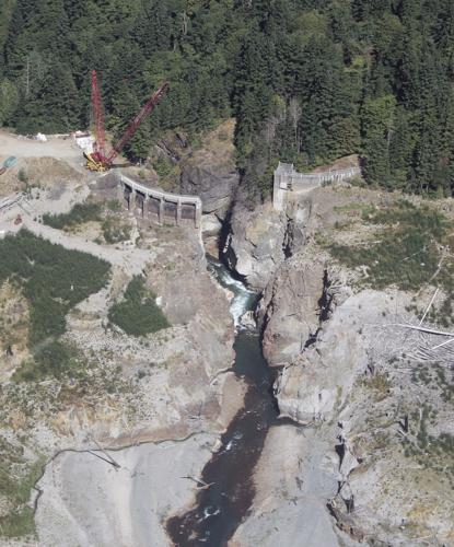 Scientists develop tool to predict dam removal costs | Local News ...