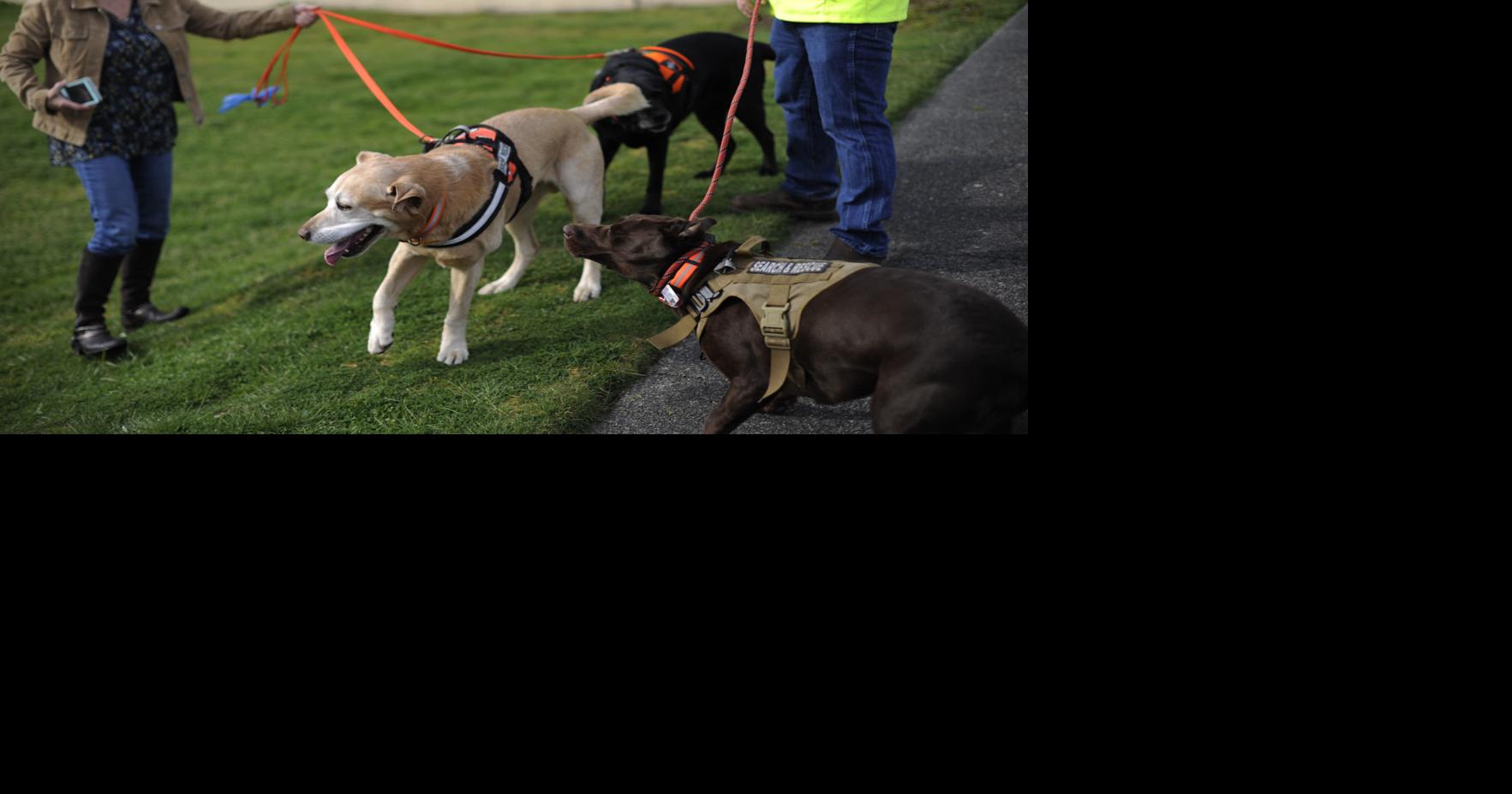 Coos County Search and Rescue receives grant from Northwest Farm Credit ...