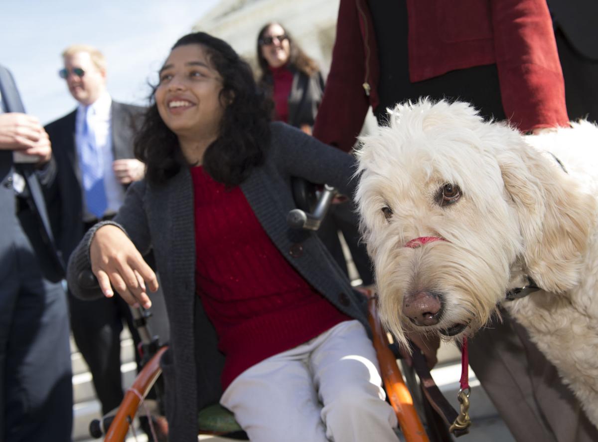 Photos: Service dogs head to the Supreme Court | National News ...