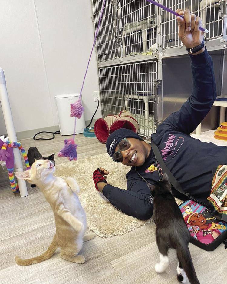 Moshow the Cat Rapper coming to Oregon Coast Humane Society | Local ...
