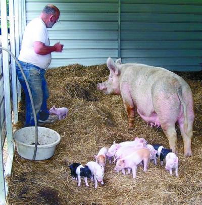 Friends of deceased hog farmer speak | News | theworldlink.com