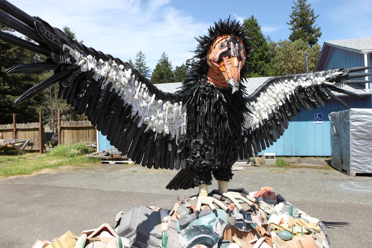 Washed Ashore California Condor headed to Oregon Zoo | Bandon News ...