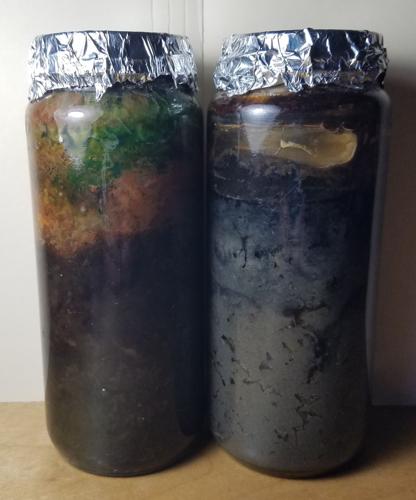 Nature Guide Journal: Winogradsky column | News | theworldlink.com