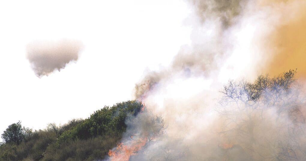 Wildfire Season: All ODF districts following safety restrictions ...