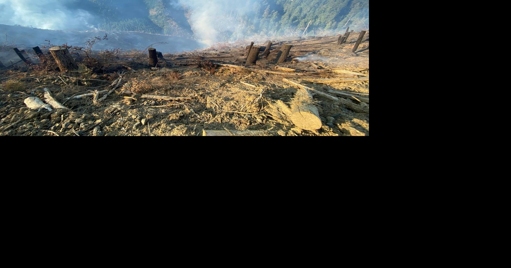 Crews working fire in Coos Mountain area | Local News | theworldlink.com