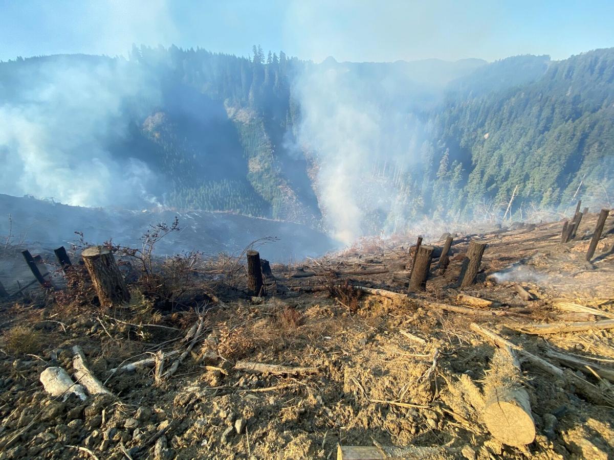 Crews working fire in Coos Mountain area | Local News | theworldlink.com