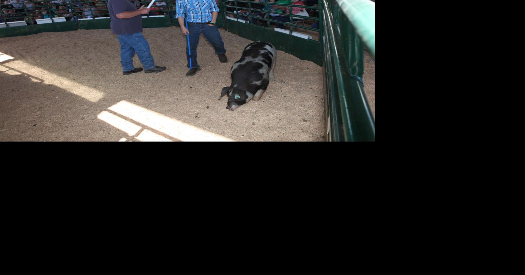 Coos County Fair | News | theworldlink.com