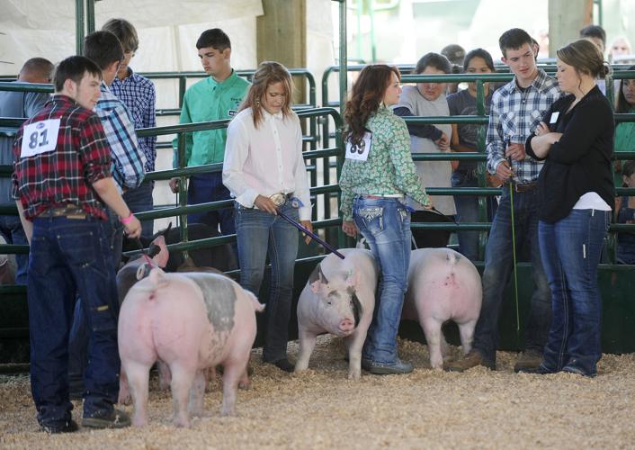 Wednesday at the Coos County Fair | Photo Collections | theworldlink.com