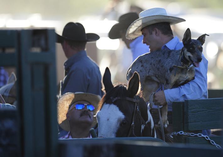 The Coos County Fair Rodeo | Photo Collections | theworldlink.com