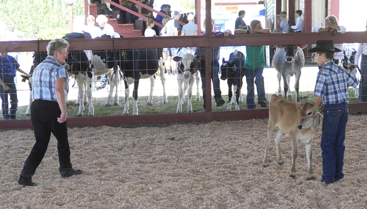 Tuesday at the Coos County Fair | Photo Collections | theworldlink.com