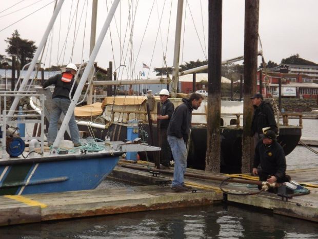 Sediment sampling in the boat basin | Govt-and-politics | theworldlink.com