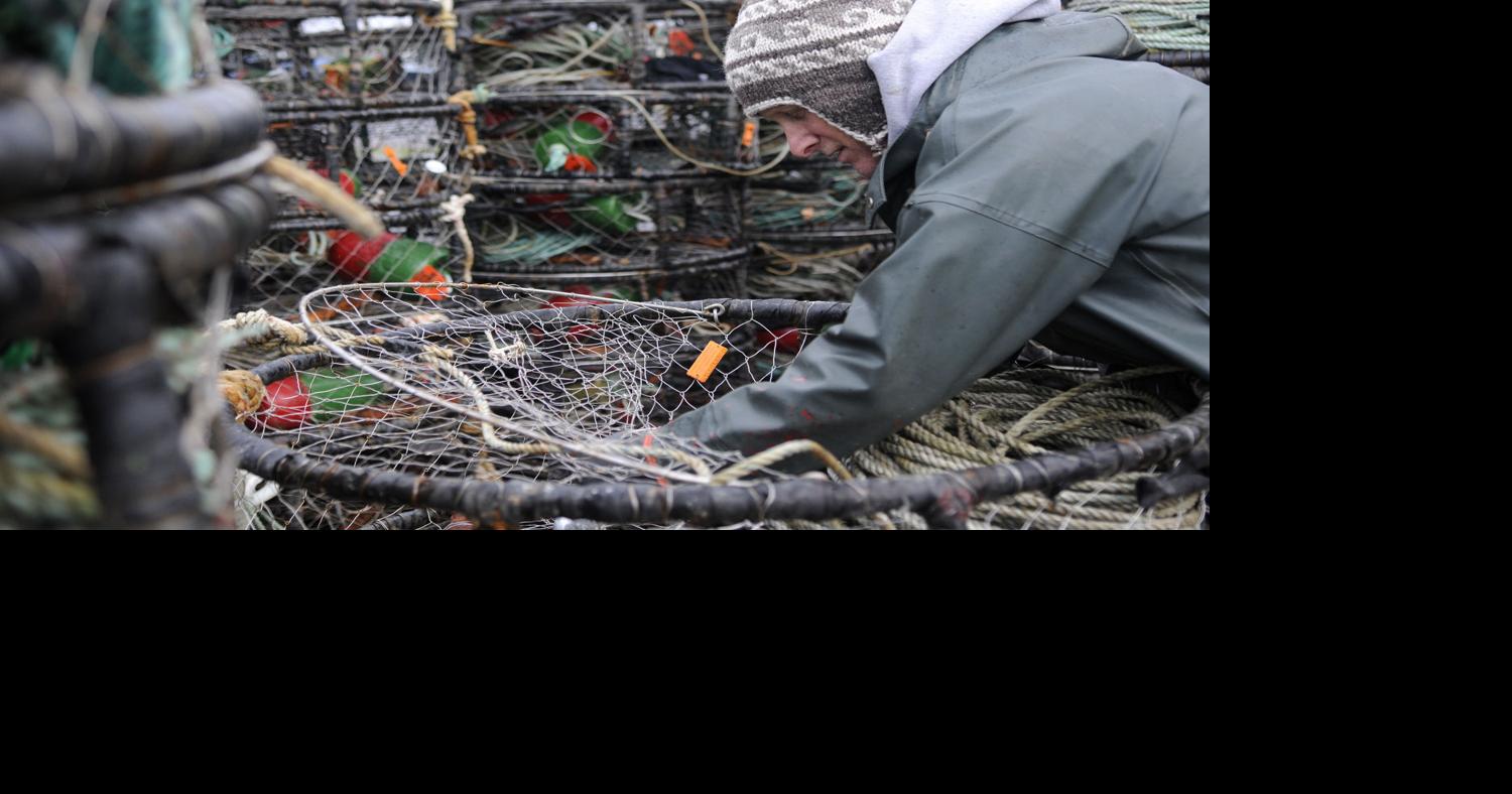 Commercial crab closure expands on West Coast | Local News ...