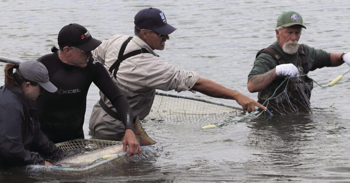 Bandon Hatchery gets a boost from Coquille Tribe | Local News ...