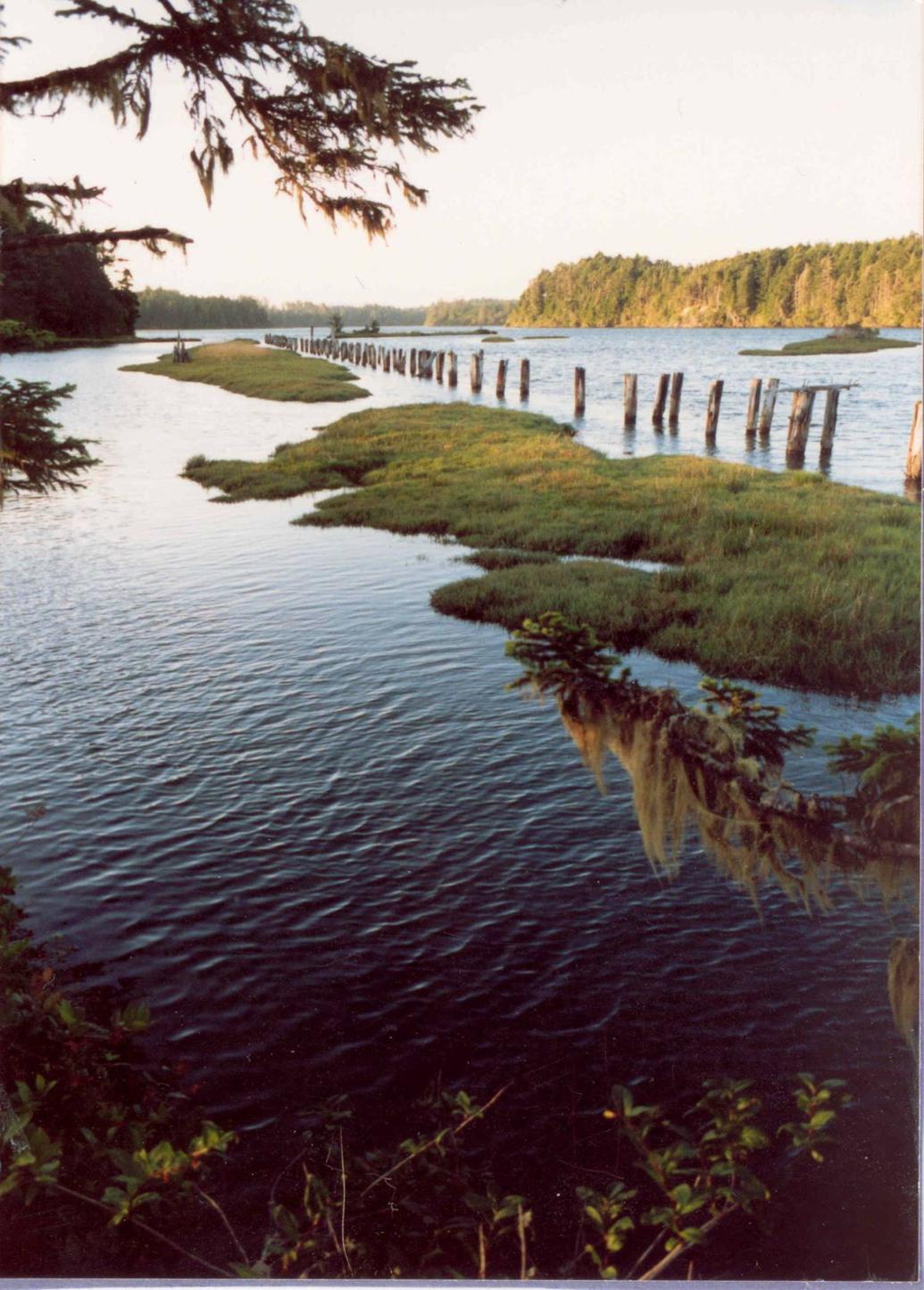 South Slough Reserve trails and restrooms open | Local News ...