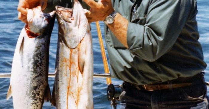 Donald D. Lund | Obituaries | theworldlink.com