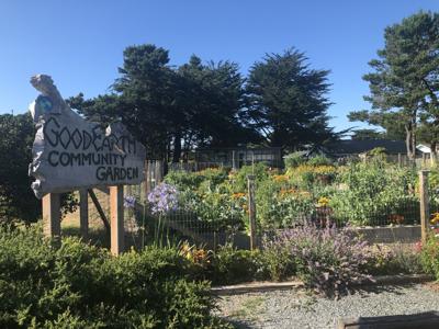 Good Earth Garden growing season draws to end | News | theworldlink.com