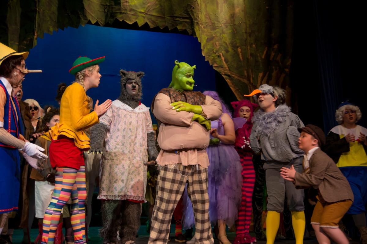 'Shrek the Musical' opens at Little Theatre on the Bay | Entertainment ...