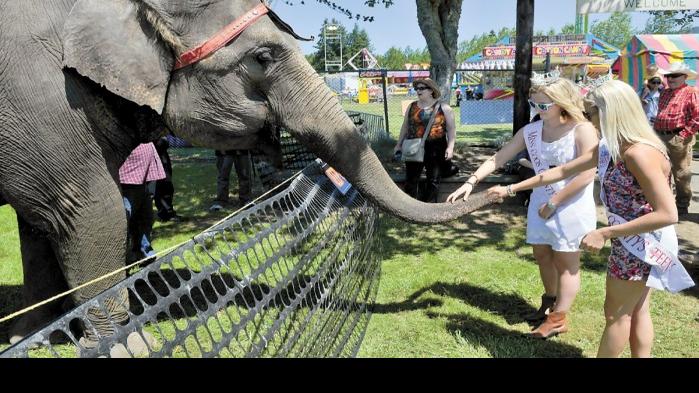 Coos County Fair: A Century of Fun for Everyone | Entertainment ...