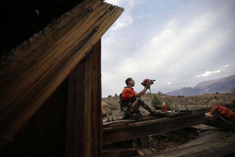 What Buster Nose | Photo Collections | theworldlink.com