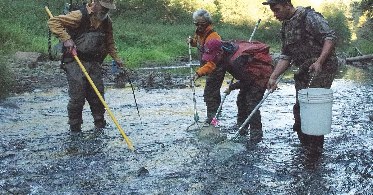 ODFW Native Fish Program wants a big crowd for native fish conservation ...