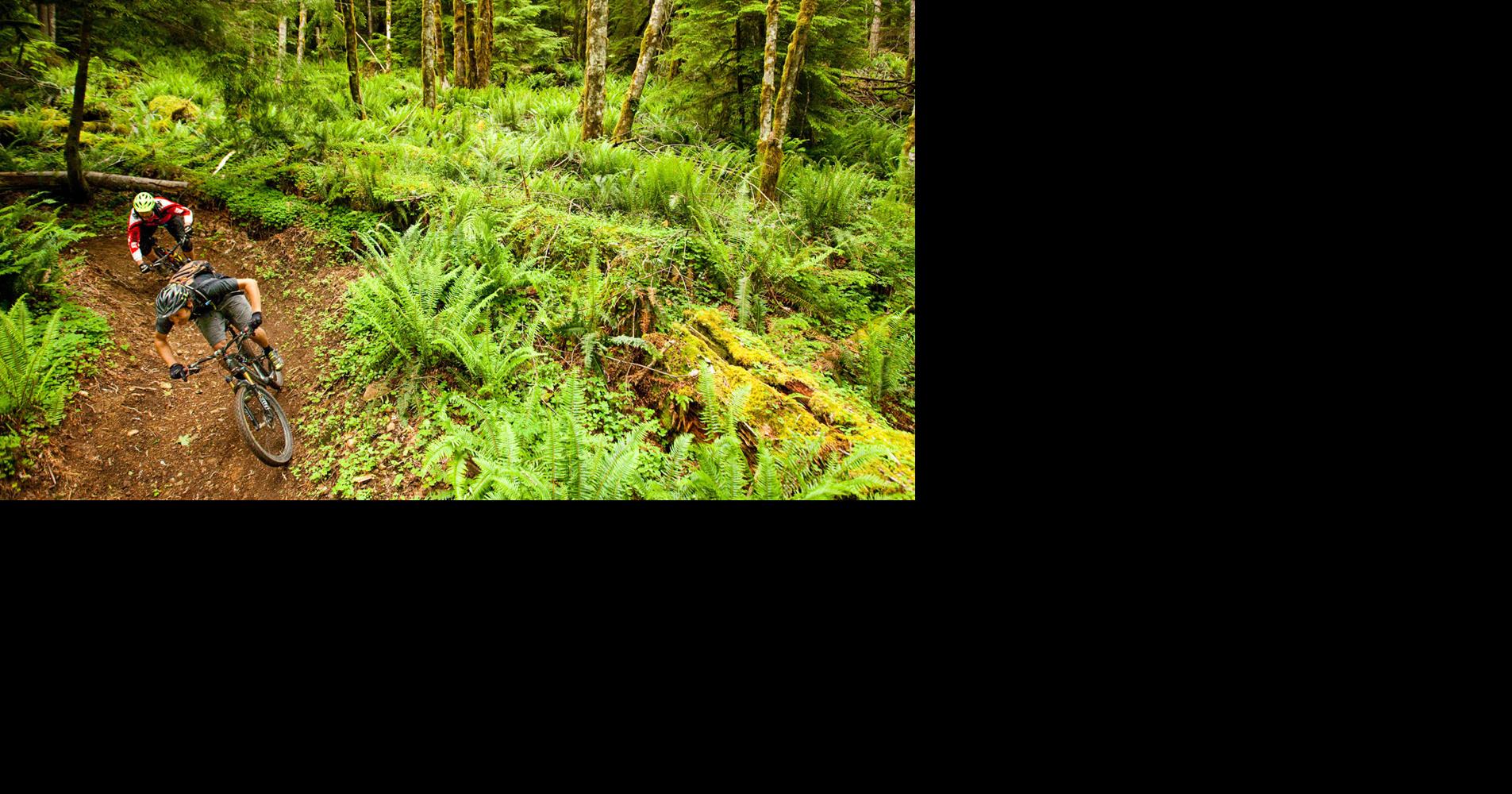 Mountain biking trail in the works for Coos County | Sports ...