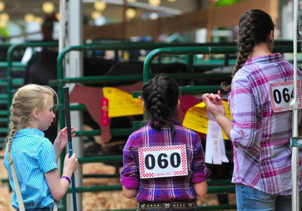 Thursday at the Fair | Photo Collections | theworldlink.com