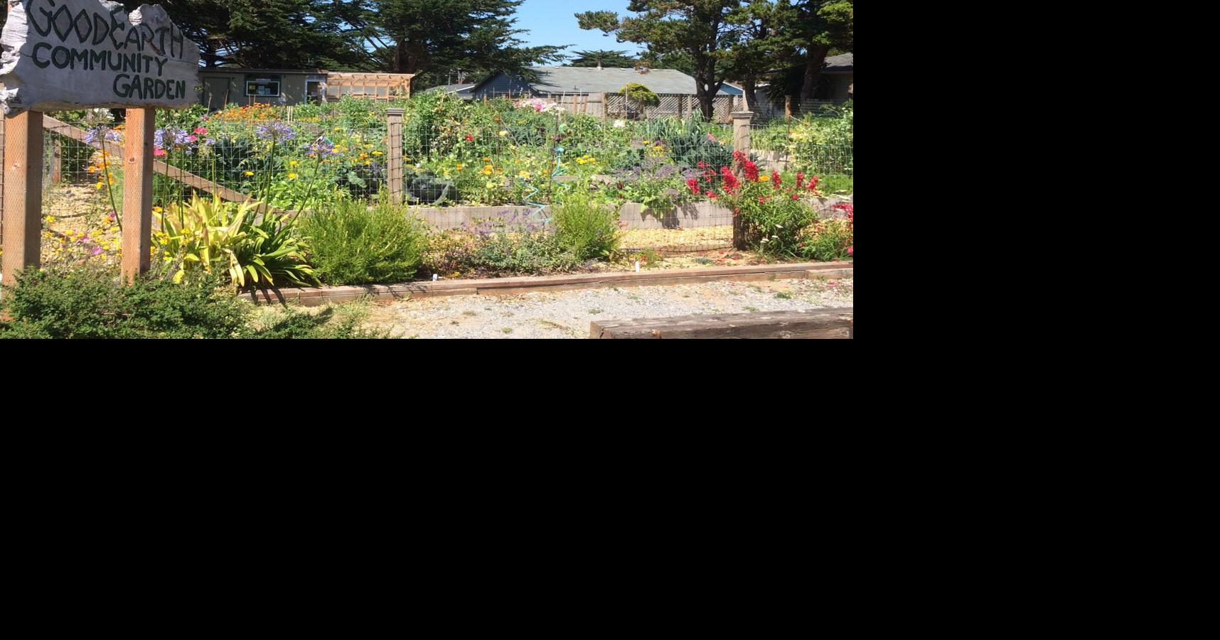 Plots available at Good Earth Community Garden in Bandon | Bandon ...