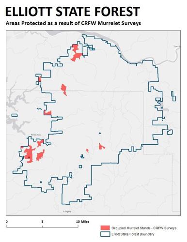 Wildfire restrictions lifted for most activities at the Elliott State ...