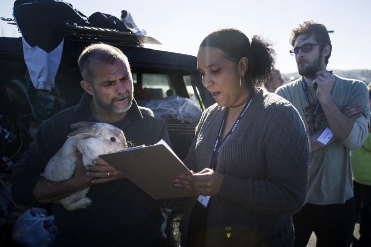 Point in Time Count shows strength of homeless community | Local News ...
