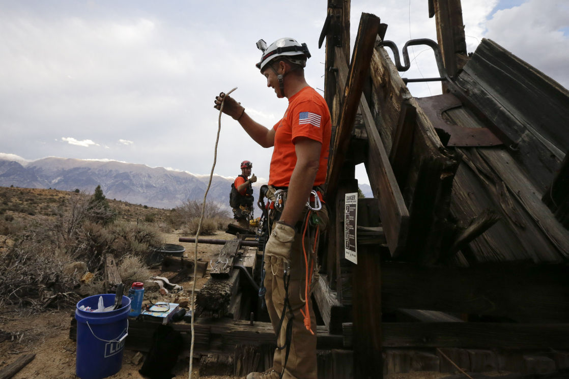 What Buster Nose | Photo Collections | theworldlink.com