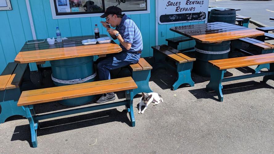 Bandon Bait: Can't get fish much fresher than this | Lifestyles ...