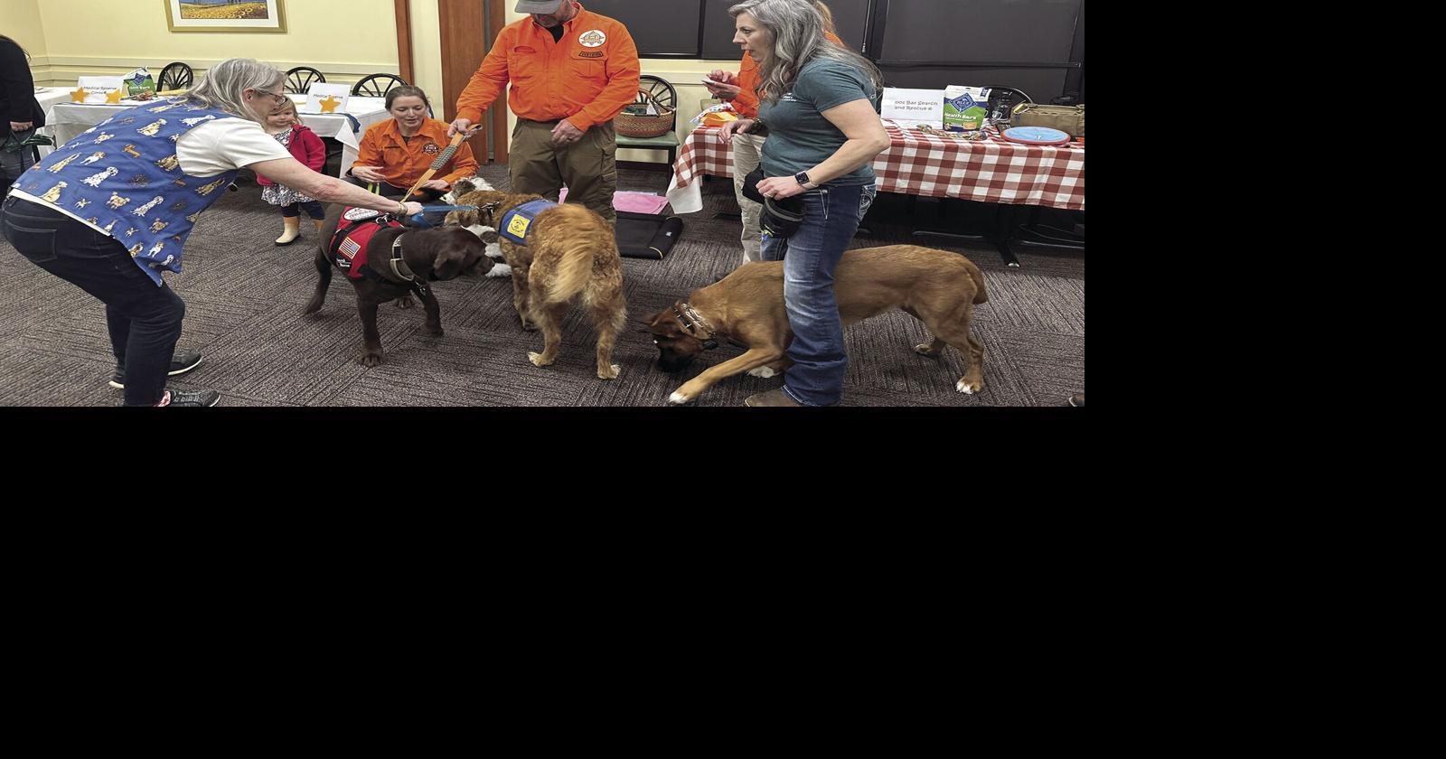 First Responder Therapy Dogs visit Bay Area Hospital | Local News ...