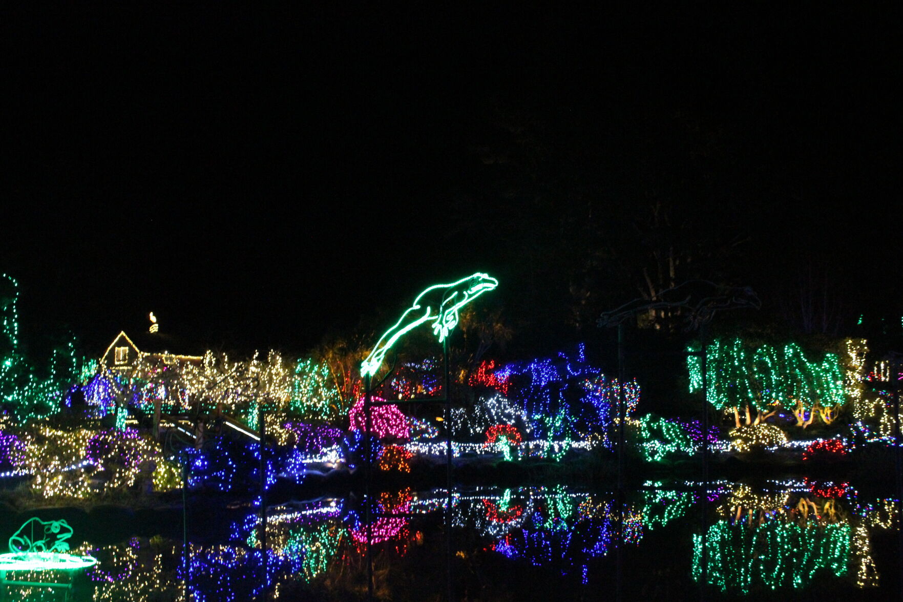 Shore Acres Holiday Lights Returned for 2025 On Thanksgiving | News ...