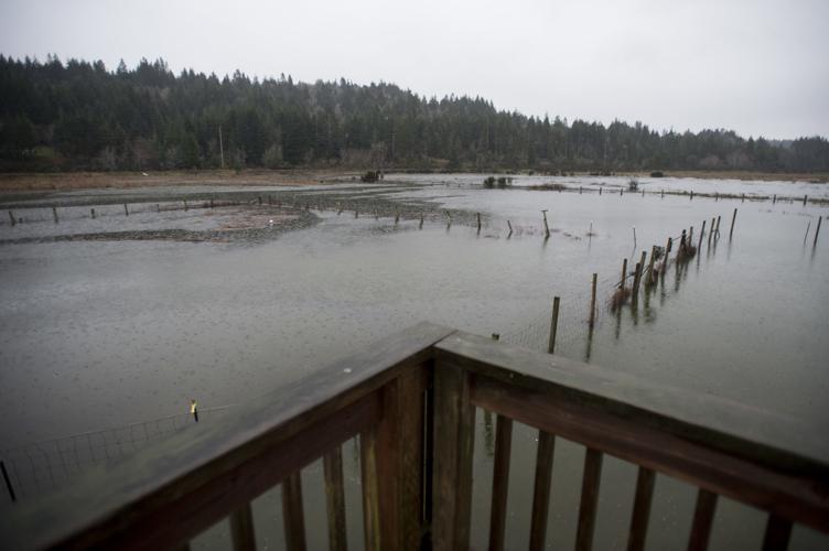 Englewood Diking District partially floods Friday morning | Local News ...