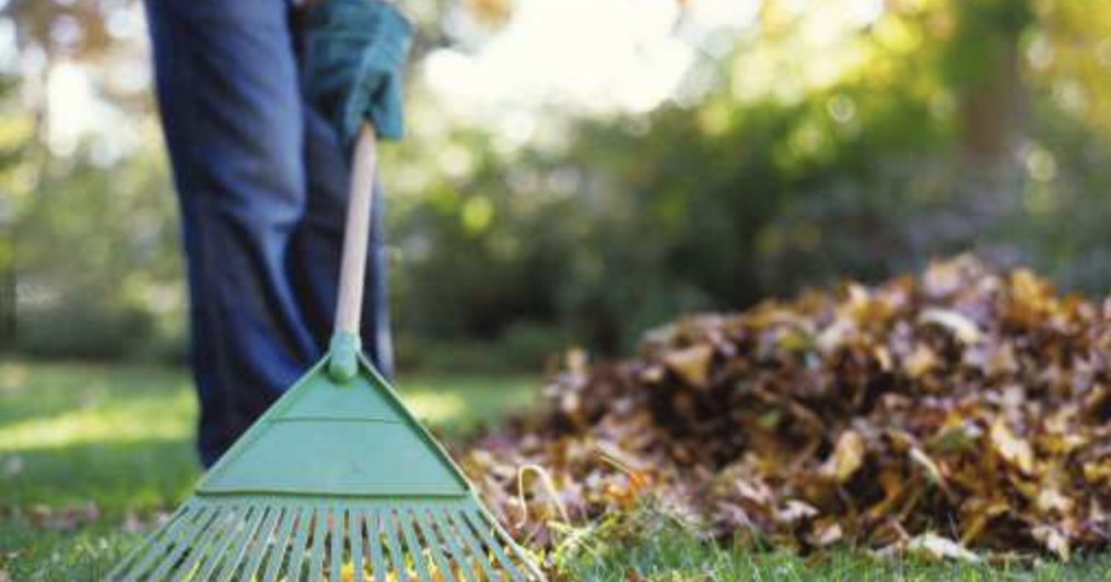 Stay safe while working in the yard | Local News | theworldlink.com