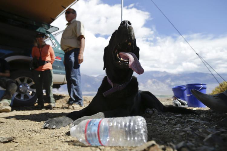 What Buster Nose | Photo Collections | theworldlink.com