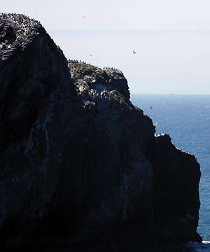 Teen injured after drop off cliff overlook | Local News | theworldlink.com