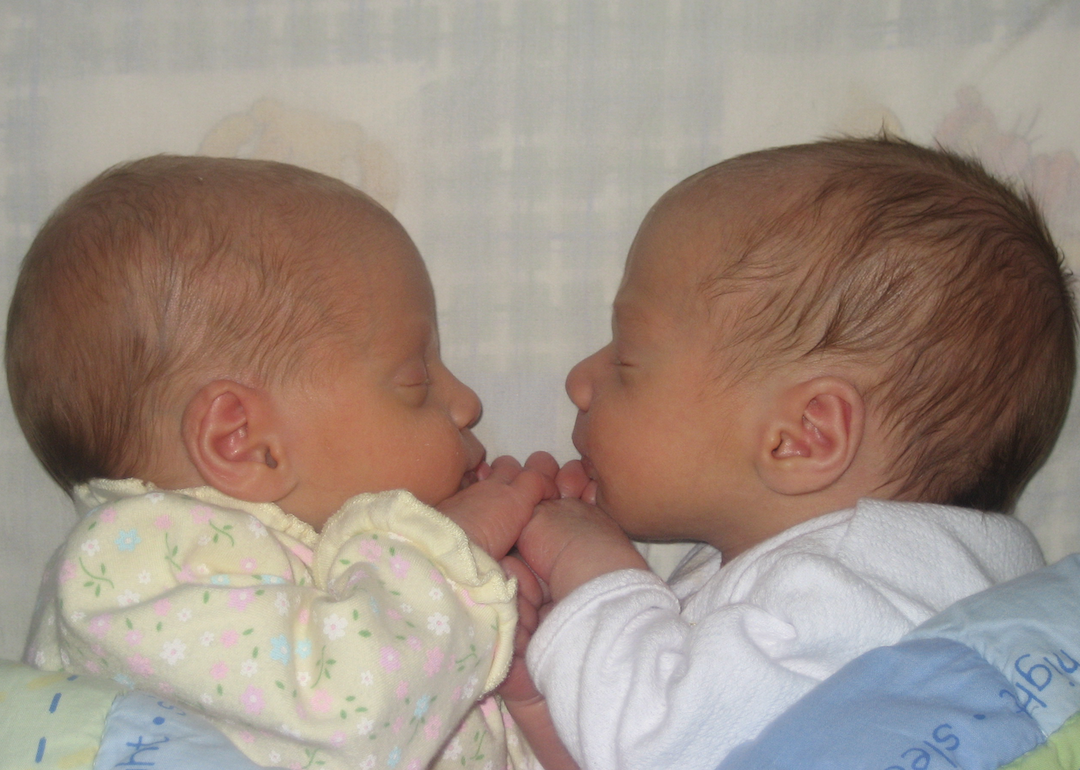 15 insurance policies you might not know existed | Lifestyles ...