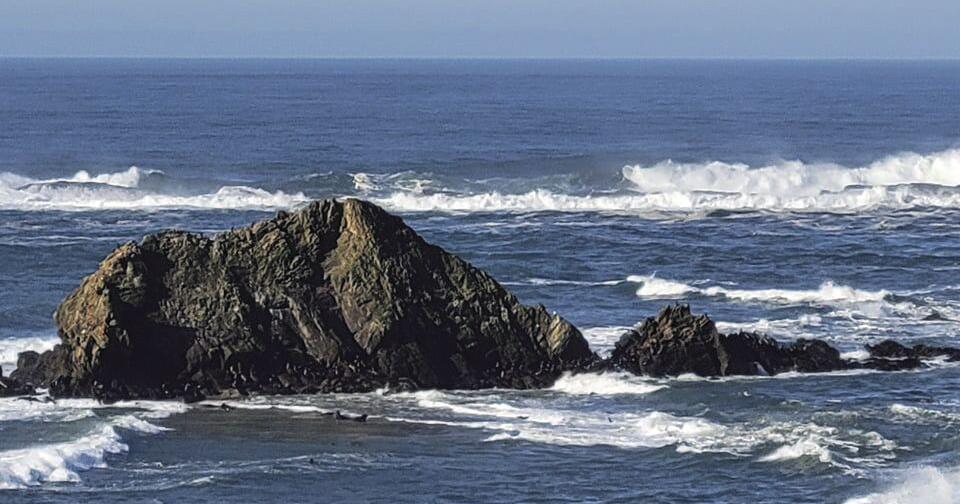 Simpson Reef an easy way to escape into nature | Local News ...