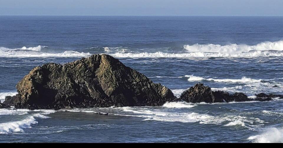 Simpson Reef an easy way to escape into nature | Local News ...