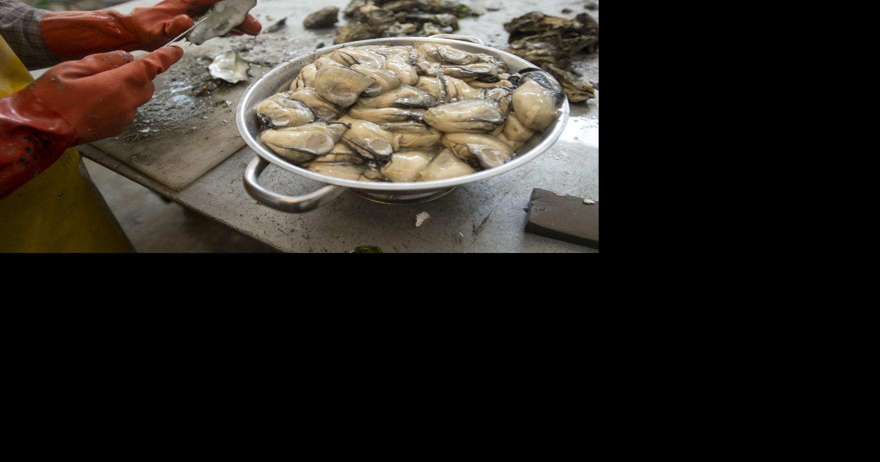 how to cook bluff oysters