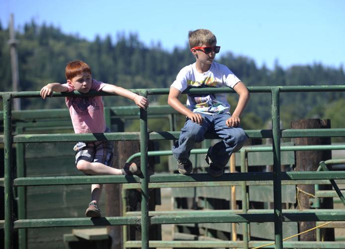 Donkey Baseball | Photo Collections | theworldlink.com