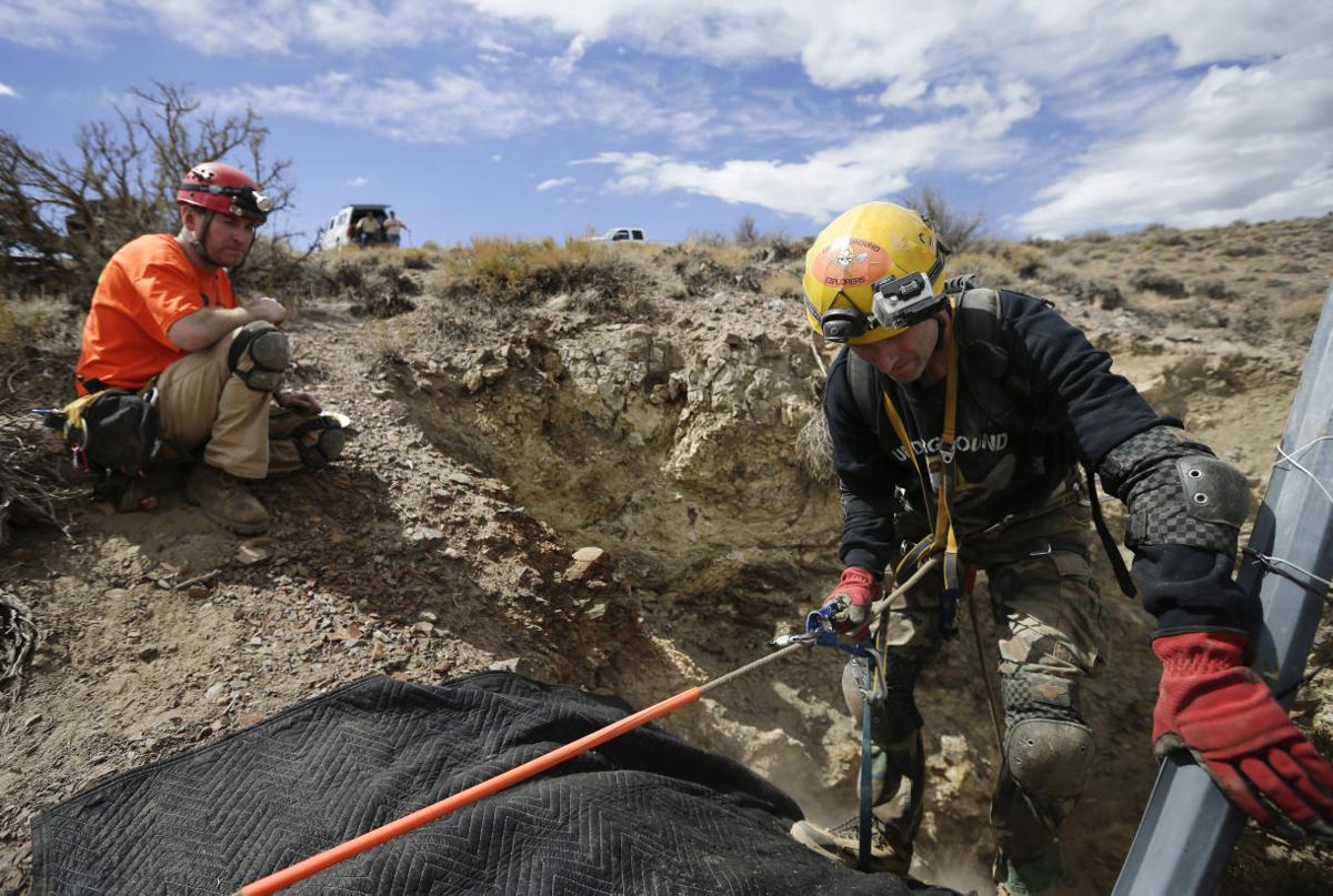 What Buster Nose | Photo Collections | theworldlink.com