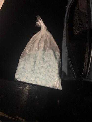 S.C.I.N.T. conducts narcotics operations in Coos County, resulting in ...