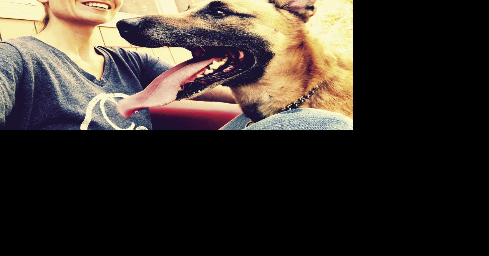 Giving K9 Odin a voice | Local News | theworldlink.com