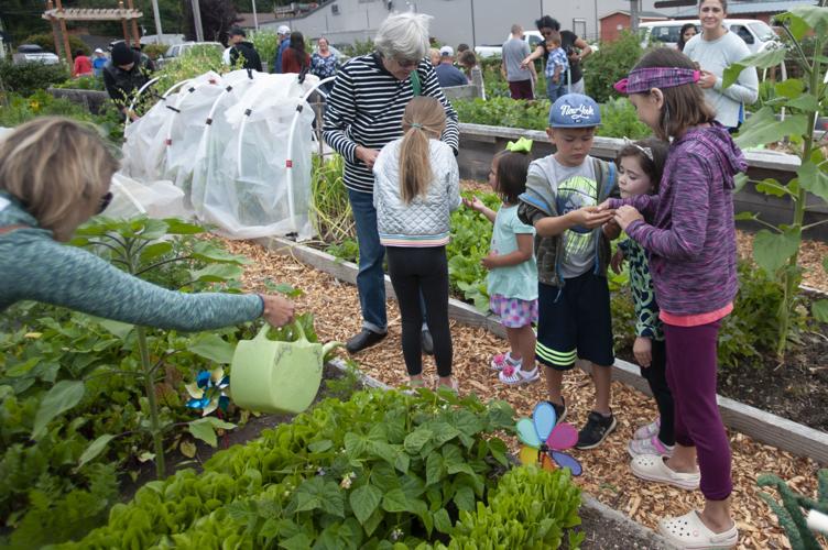Kids release 15,000 ladybugs into Lady Bug Landing community garden ...