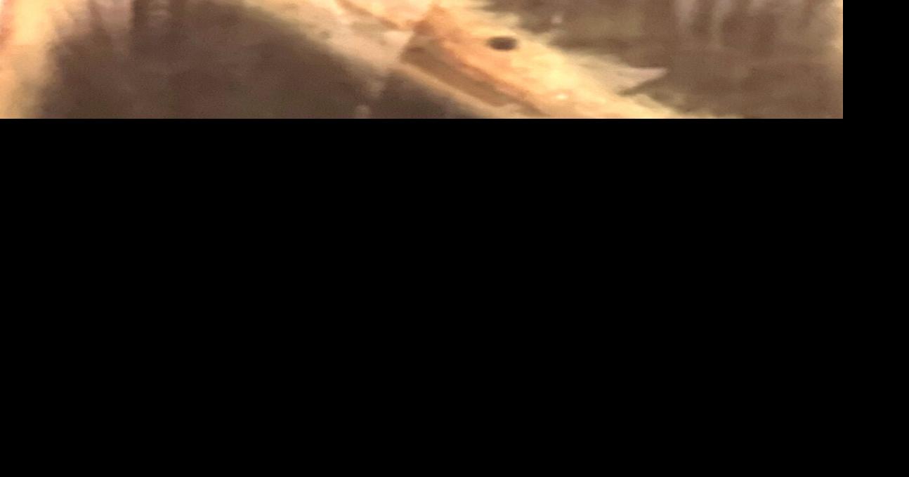 Gary M. Borchman | Obituaries | theworldlink.com