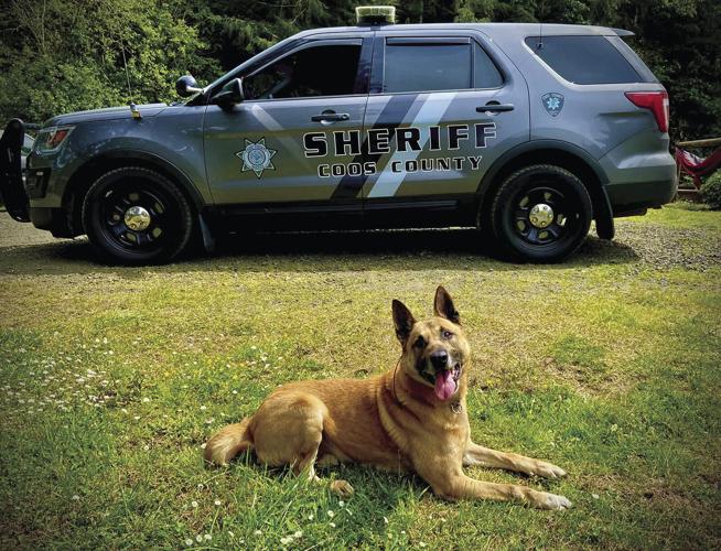Giving K9 Odin a voice | Local News | theworldlink.com