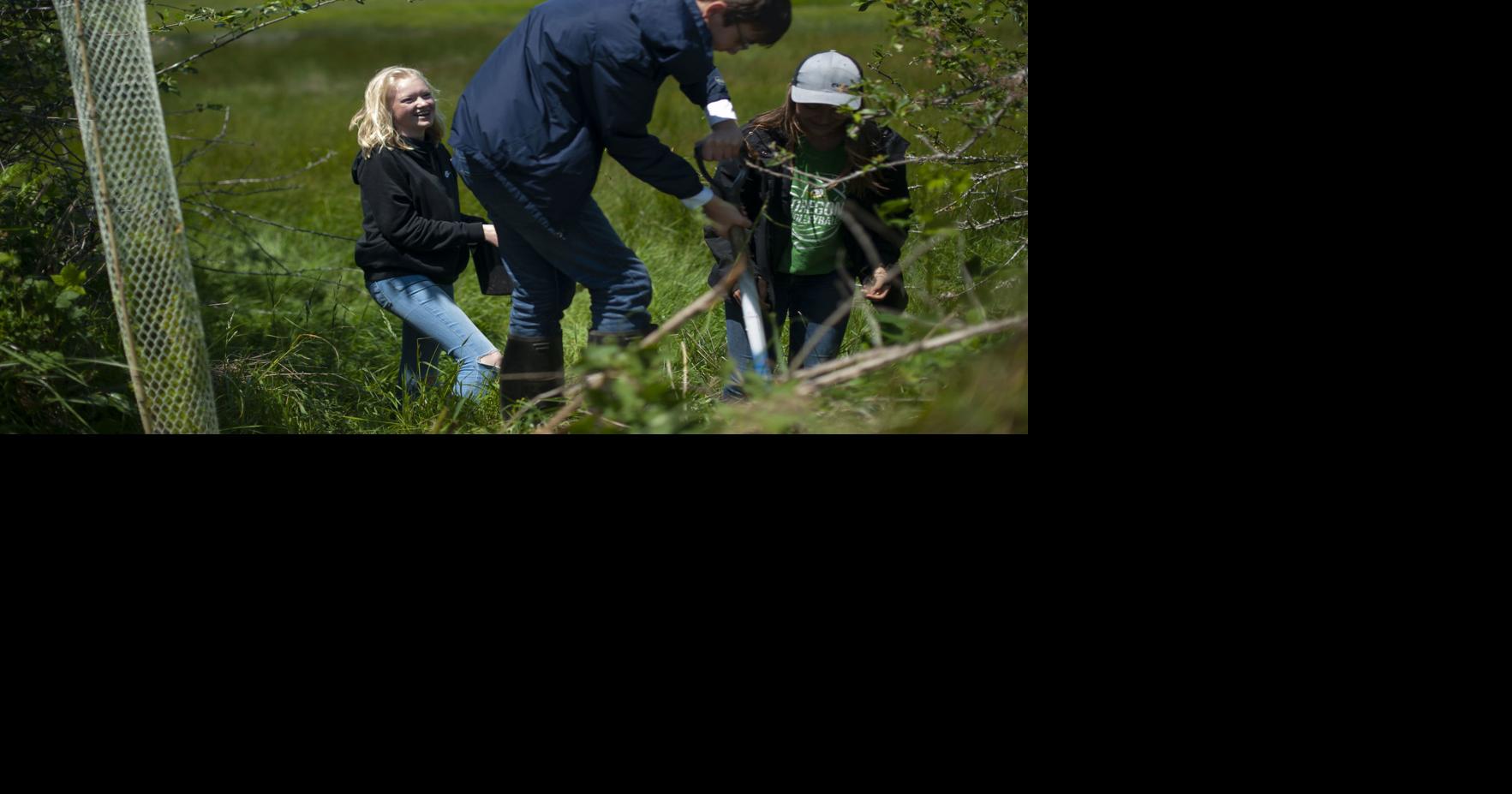 More than 100 students help plant trees at Millicoma Marsh Trail ...